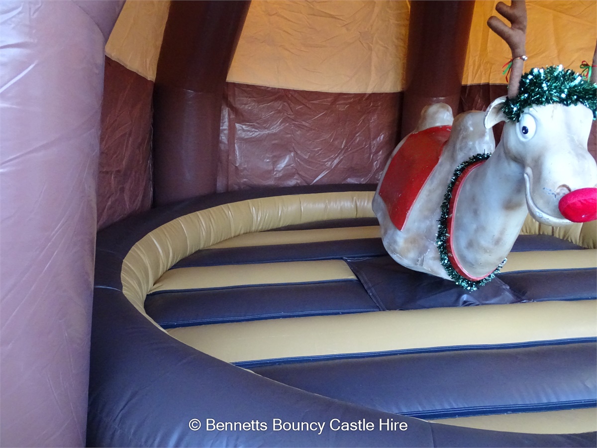 RODEO REINDEER HIRE . CHRISTMAS PARTY HIRE